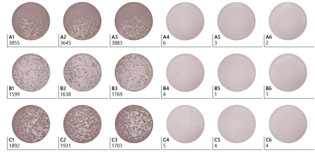 Next generation plate evaluation – IRIS